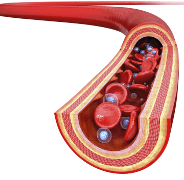 Blood leukocytes platelets background png image - PNGArc