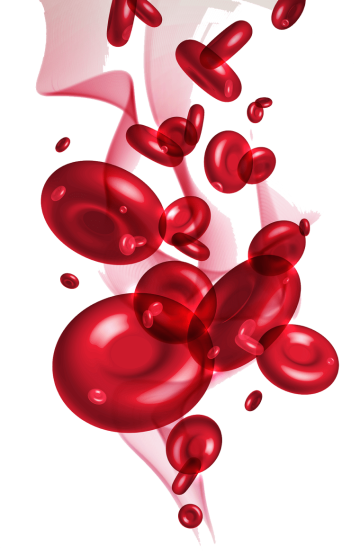 Red blood cell background png image - PNGArc