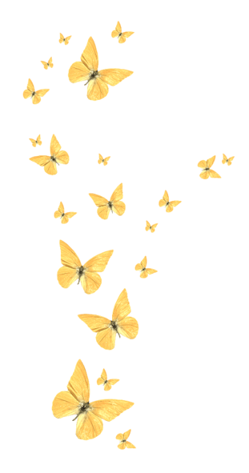 Yellow Color Butterfly, Golden Butterfly, Yellow Butterfly - PNGArc