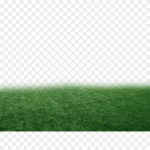 Free Green Grassland Texture PNG image - PNGArc
