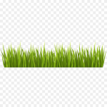 Fancy Grass Draw Illustration on a Transparent Background - PNGArc
