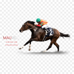 Horse Race PNG Clip Free Download Now - PNGArc